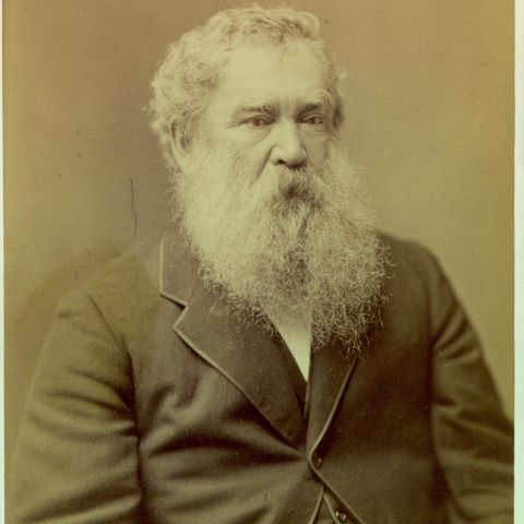 “Cornfield in Winter” – American Centuries