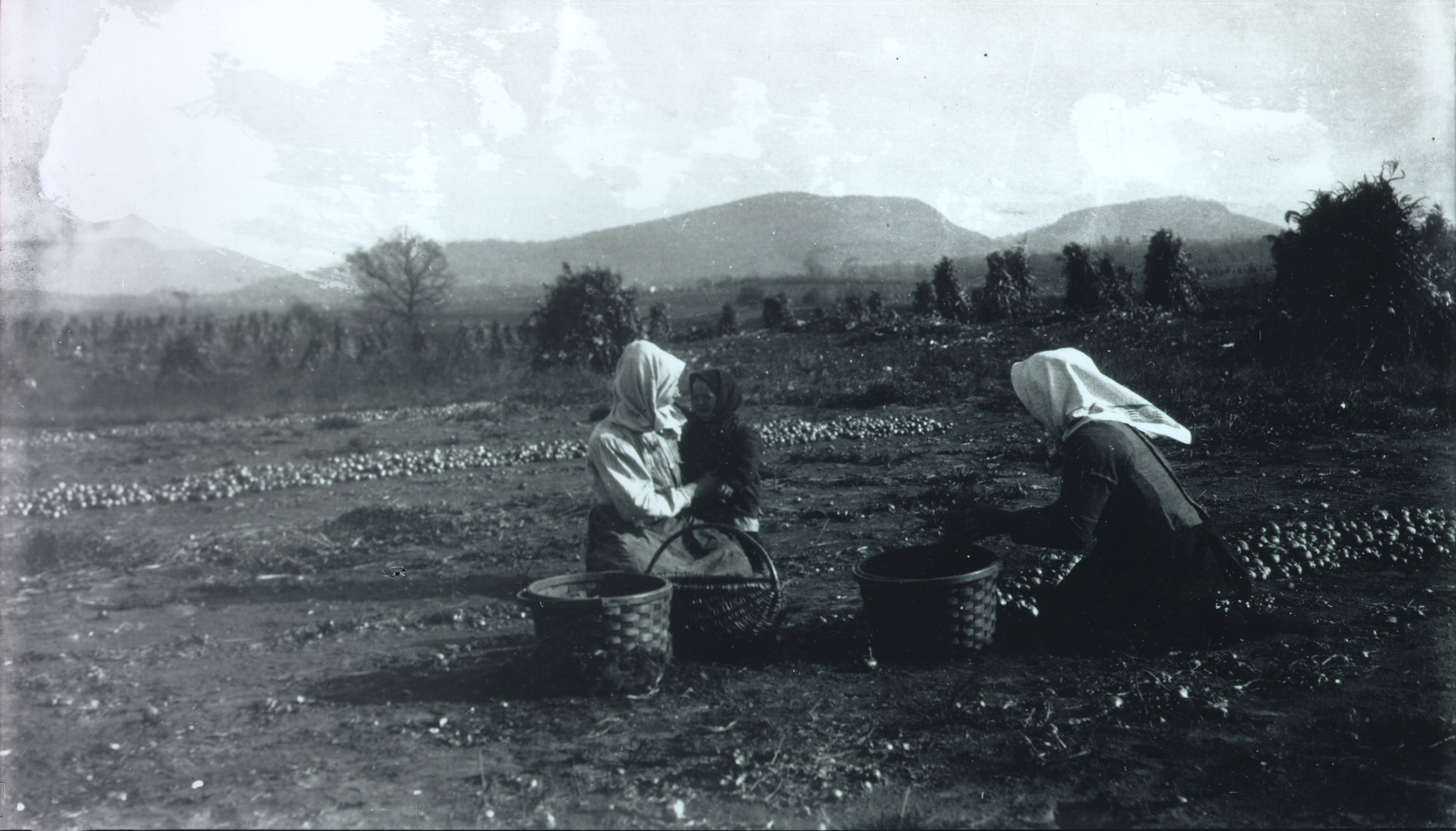 Through the City, to These Fields: Eastern European Immigration ...